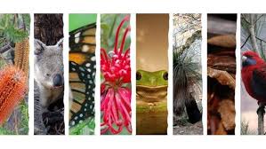 Biology Olympiad - Nossal High School